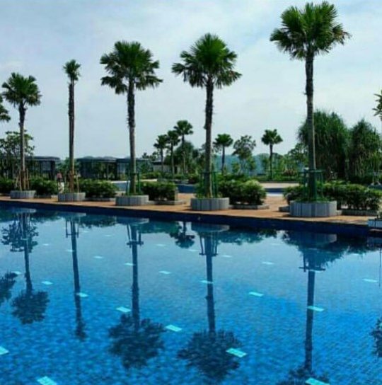 Situs Pemesanan Marigold Navapark